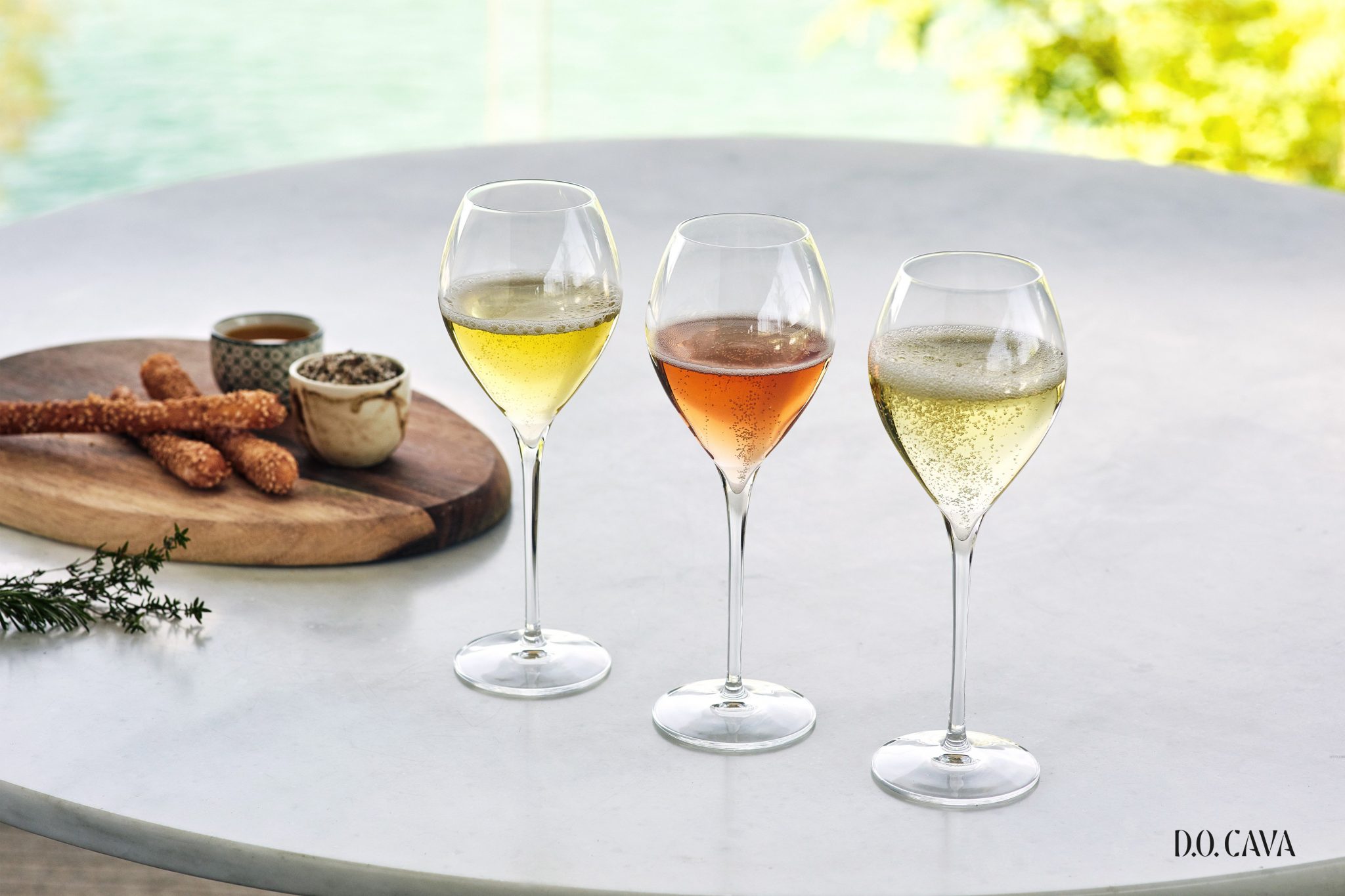 New regulations for DO Cava wines for 2021 - Gourmet Hunters Blog