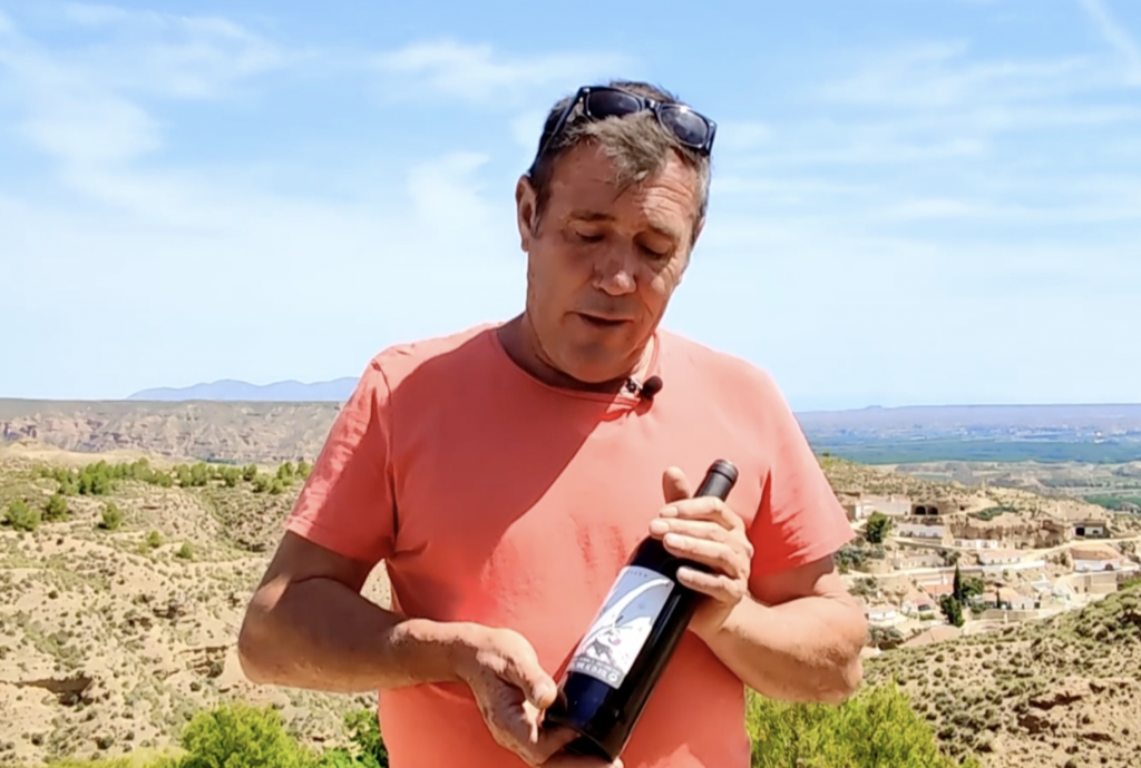 Natural wines from Ramón Saavedra's Bodega Cauzón winery - Gourmet ...