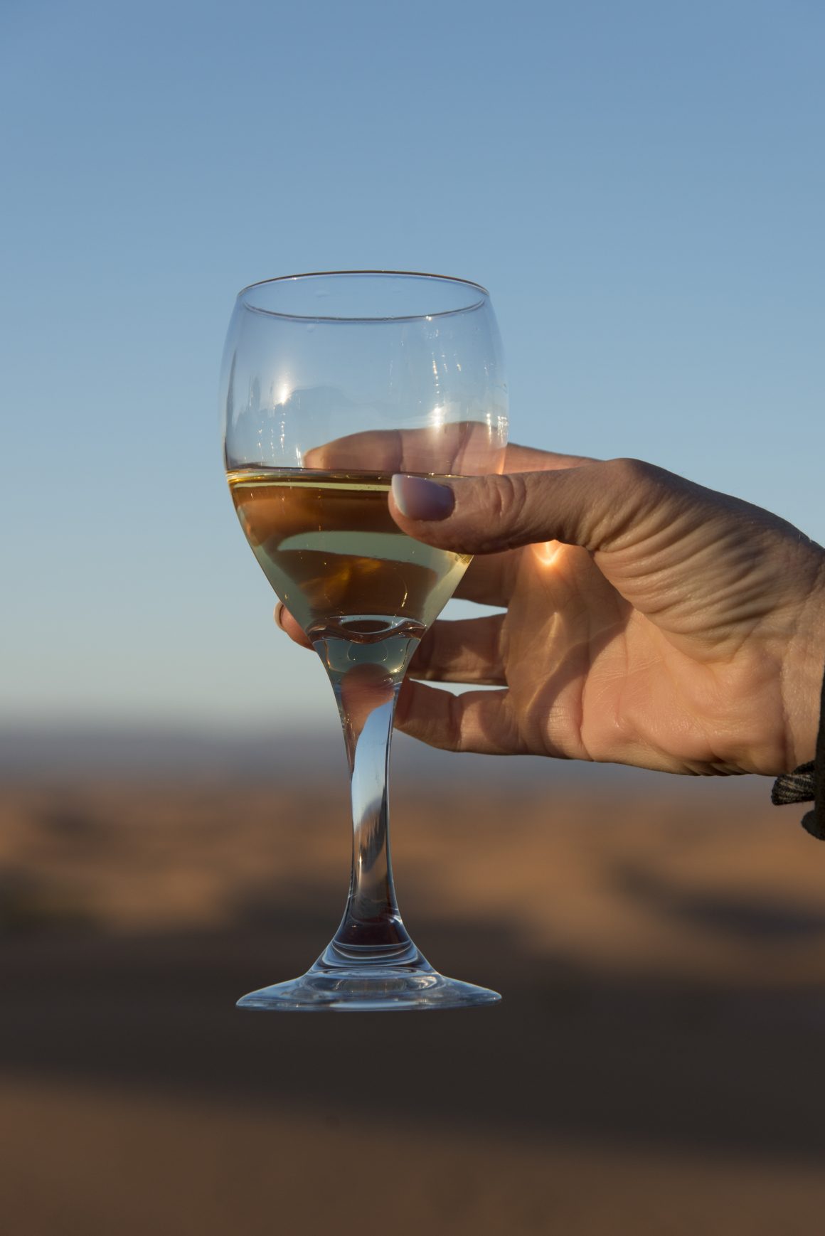 Gourmet Hunters Blog - Page 5 of 30 - Your online wine shop where you ...